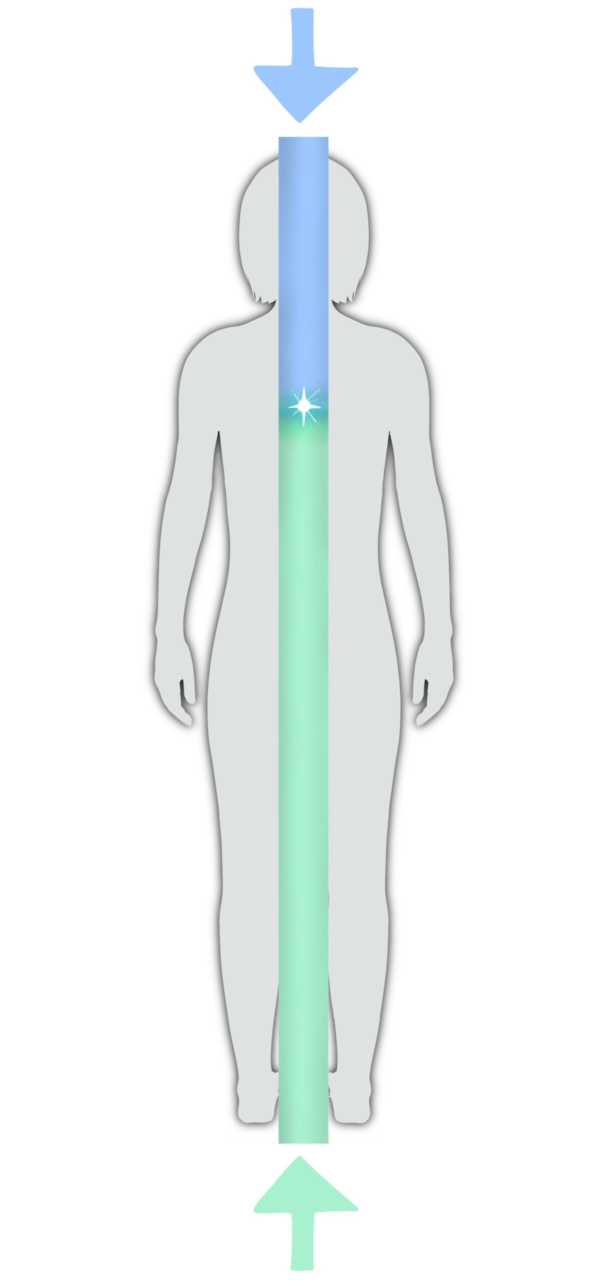 The Seven Parts of the Chakra System Components