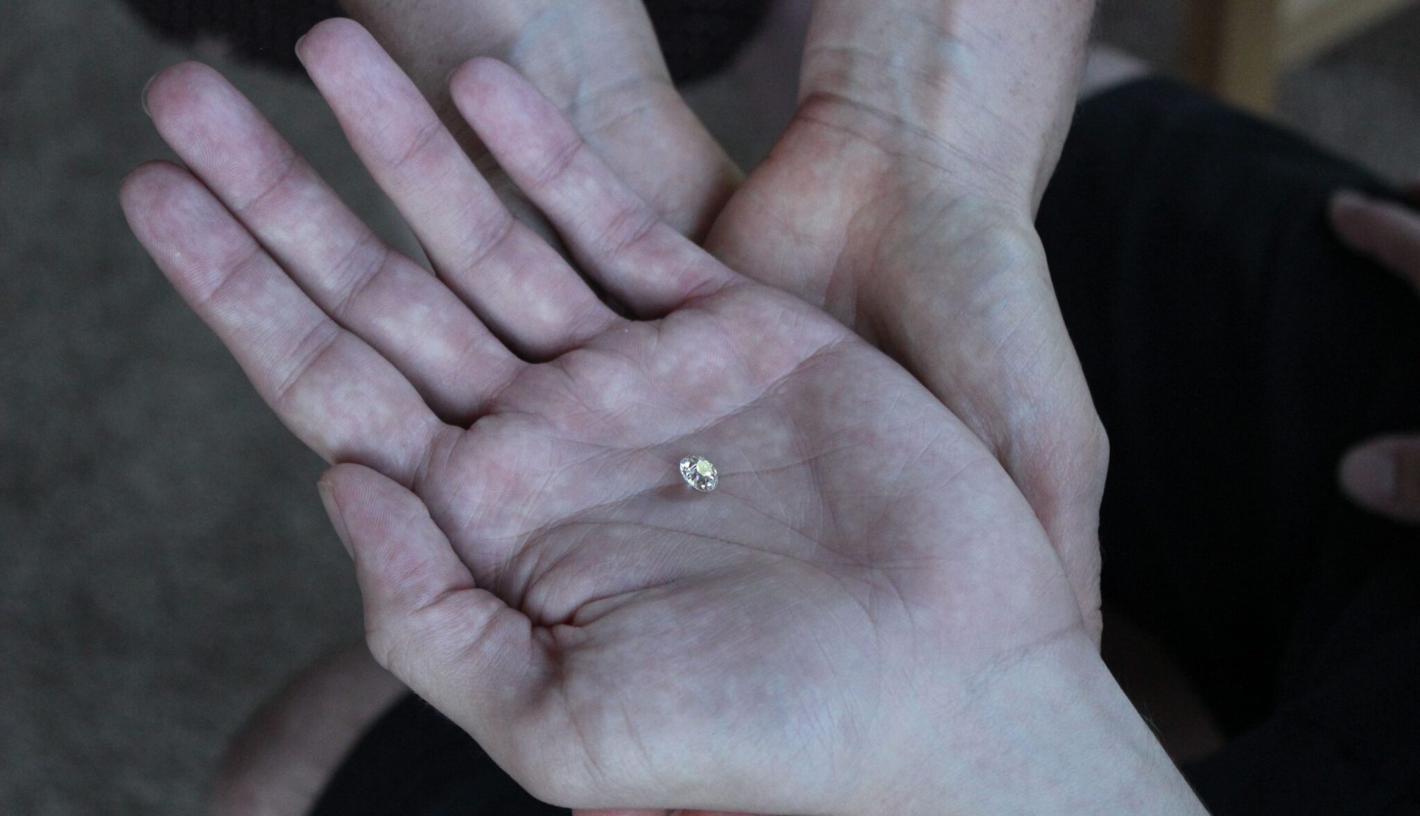 The Depth of Diamond Therapy Training